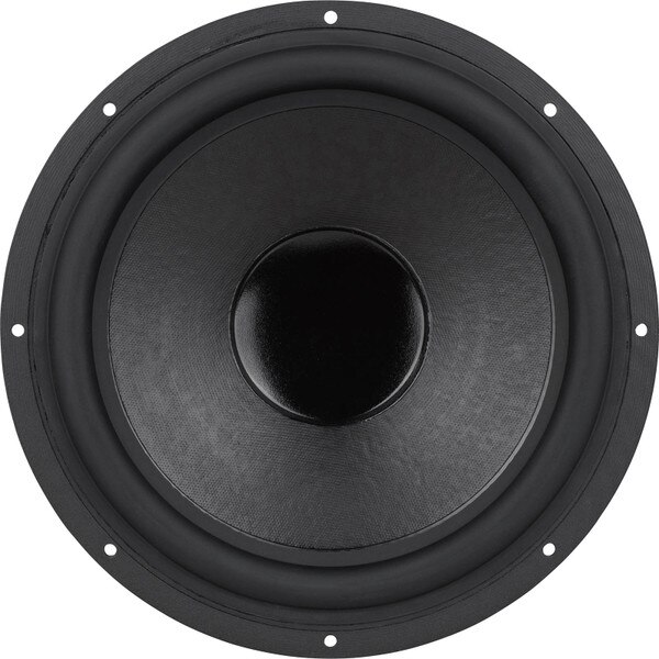 Ciare HW251N 10" Woofer 8 Ohm